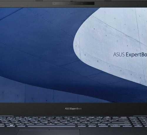 Asus B2502CBA ExpertBook B2 (BQ0865X)