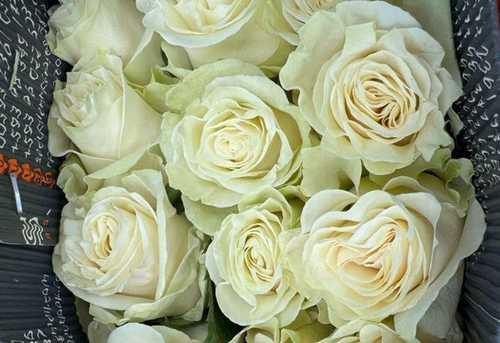 Белые Розы, букет Роз на 8 марта