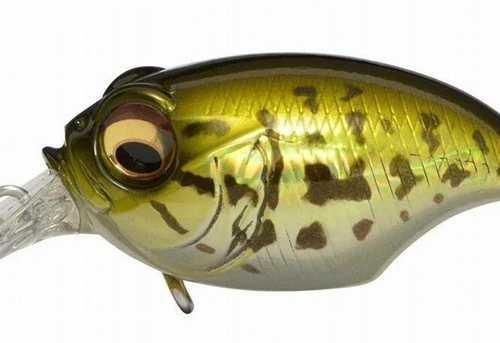 Воблер Megabass New SR-X Griffon gg bass