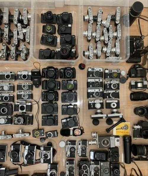 Коллекция фотоаппаратов и объективов
