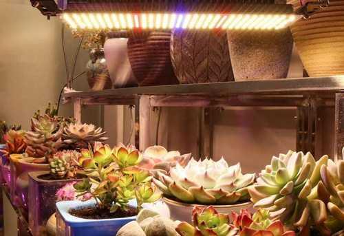 Светодиодная лампа для растений