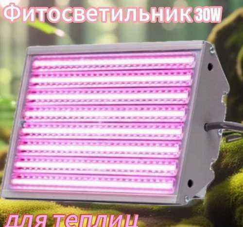 Фитосветильник 30W для теплиц