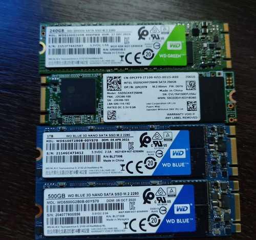 Ssd m2 240gb 500gb 1tb