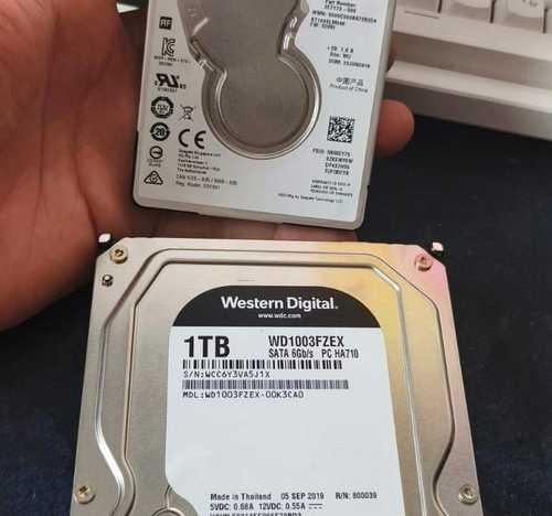 Жесткие диски 1TB: 3.5” WD и 2.5” Seagate