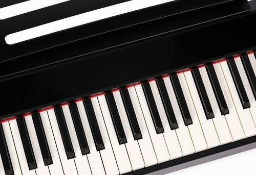 NPK-10-BK Цифровое пианино, черное