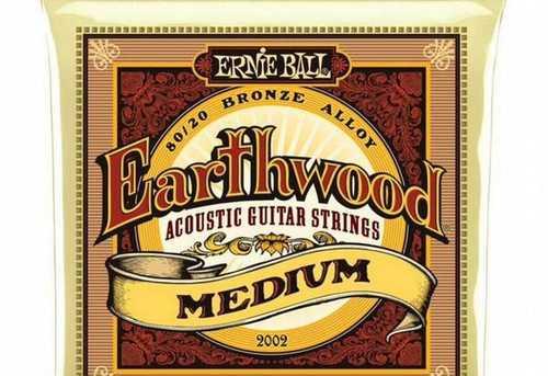 Струны для акустической гитары Ernie Ball 2002