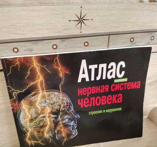 Атлас нервная система человека