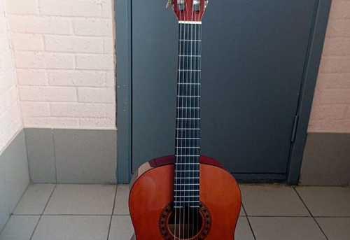 Классическая гитара Valencia CG170/D