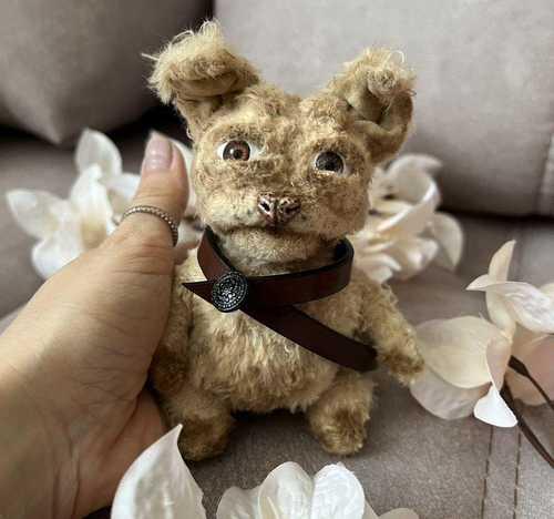 Игрушка чихуахуа, мишки