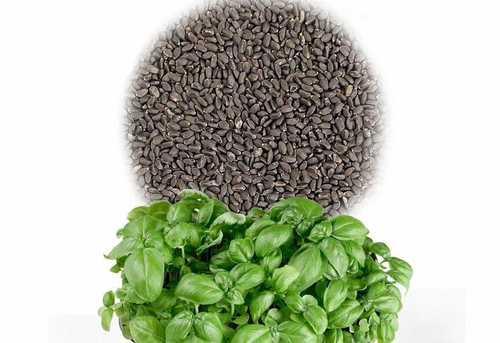 Семена Микрозелень от 50 грамм арт.0056