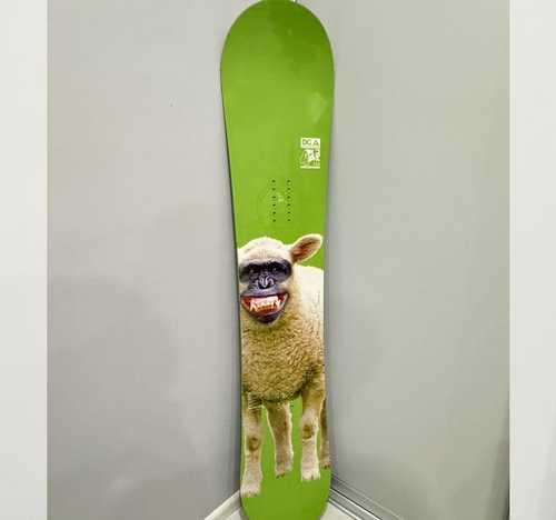 Сноуборд DC Shoes PBJ