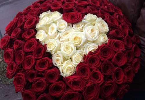 Букет 101 Красная и Белая Роза (60 см.) сердце