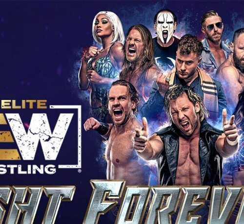 AEW: Fight Forever PS4 PS5