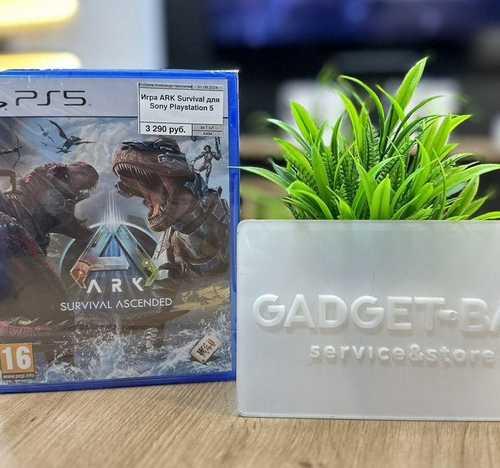 Игра ARK Survival Ascend PS5