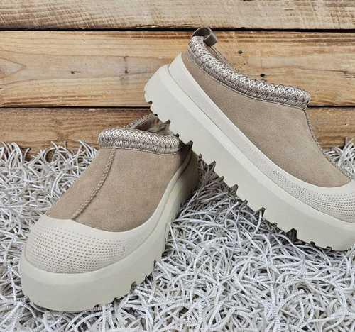 Угги UGG Tazz Hybrid Mustard Seed женские оригинал