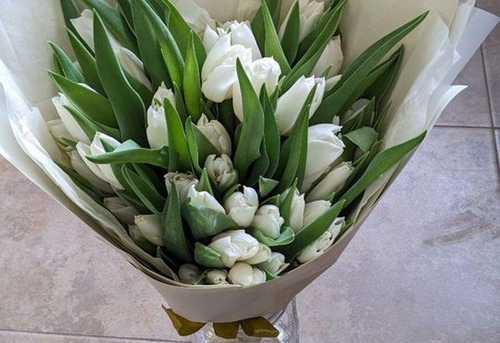 Букет белых тюльпанов 51шт