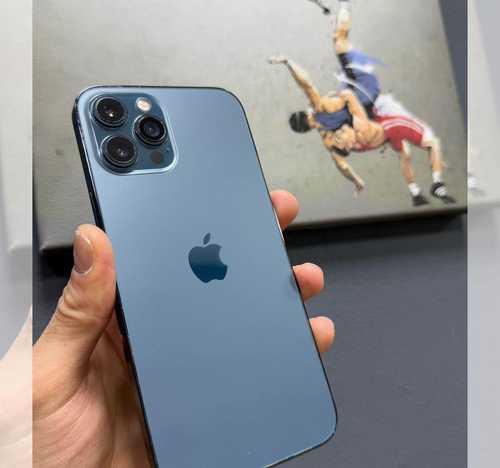 iPhone 12 Pro Max, 256 ГБ