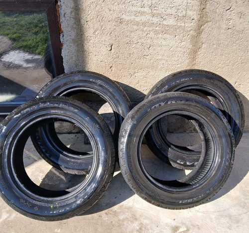 Joyroad Winter RX821 215/60 R16 T