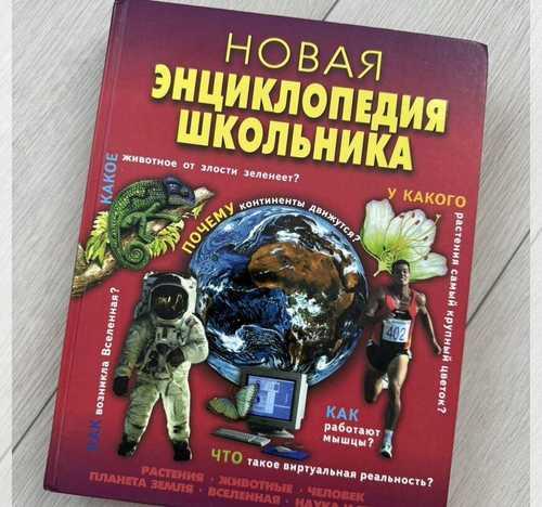 Новая энциклопедия школьника