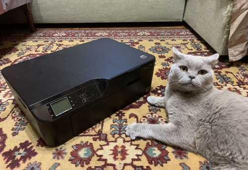 Принтер HP deskjet 3520