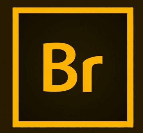 Adobe Bridge 2024. Бессрочно