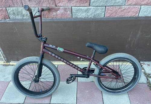 Bmx grasshopper
