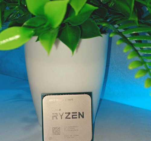 Процессор Ryzen 5 3600