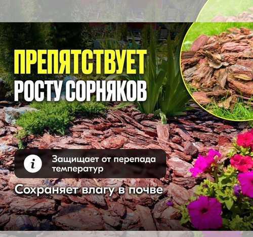 Кора лиственницы и сосны