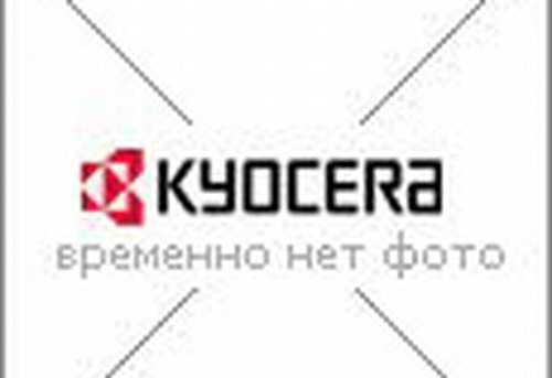 2GM01210 плата dimm Kyocera FS-1118