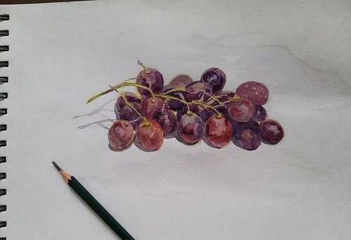 Картина акварелью "виноград"