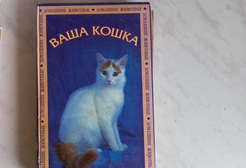 Книга-ваша кошка