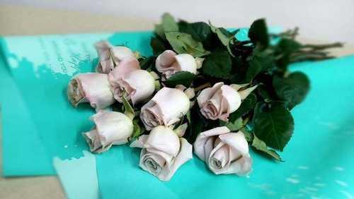 Розы Эквадор Лиловые. Цветы с доставкой. Букет
