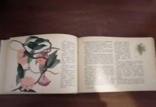 Книга "Комнатные растения" 1968 г