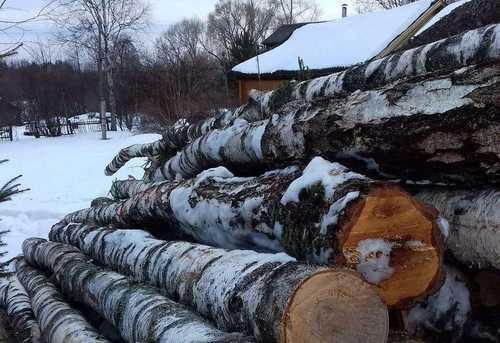 Приму стволы деревьев любой породы