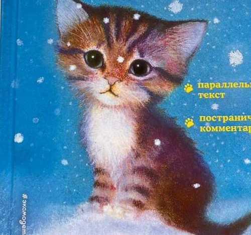 Книга Холли Вебб