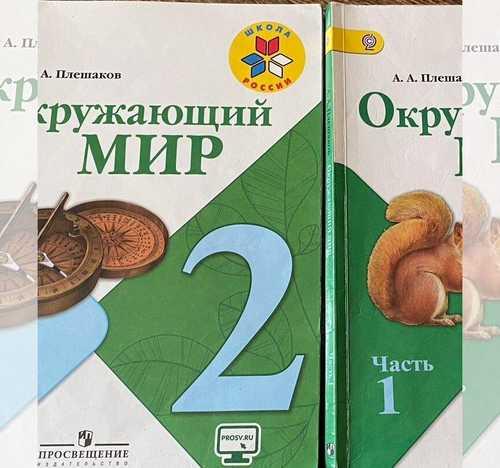 Окружающий мир 2 класс учебник