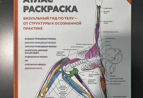 Анатомия йоги. Атлас-раскраска. Кейли Солоуэй