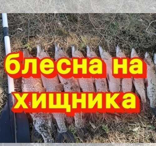 Блесна приманка на хищника