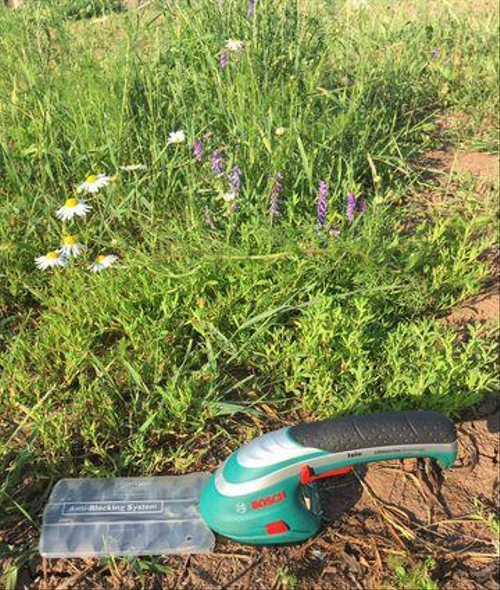 Кусторез аккумуляторный bosch для травы и кустов