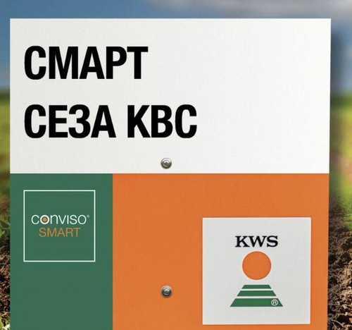 Семена смарт сеза квс