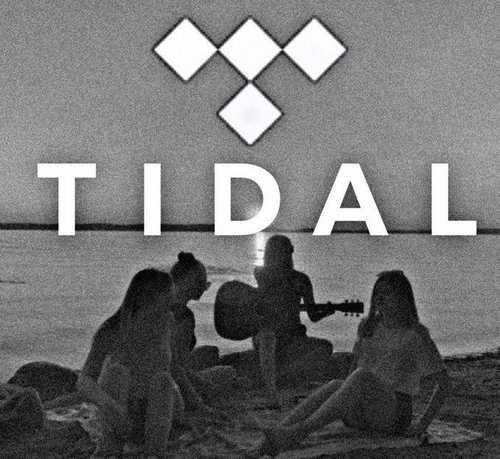 Tidal (Master) HiFi Plus (пожизненно)