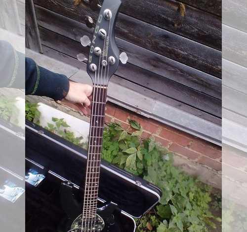 Music Man Bongo H-S.USA