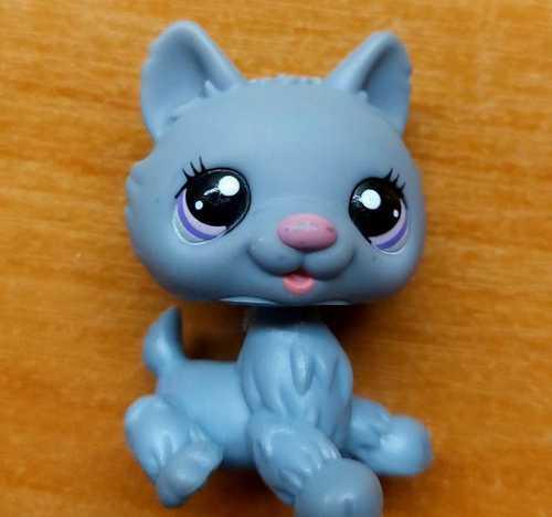 Littlest pet shop