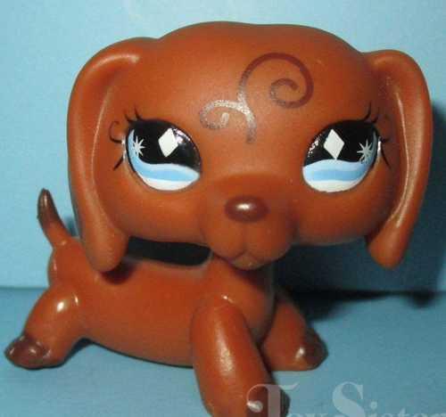 Littlest pet shop такса поиск