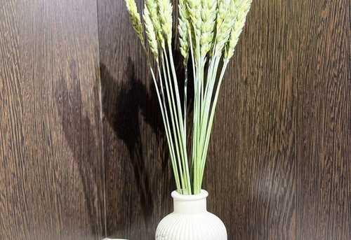 Сухоцвет пшеницы букет цветы вазы