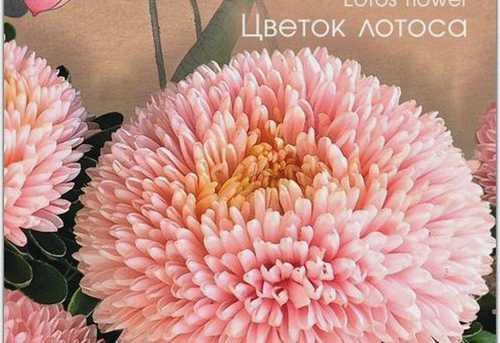 Астра Хризантелла Цветок Лотоса 30 шт