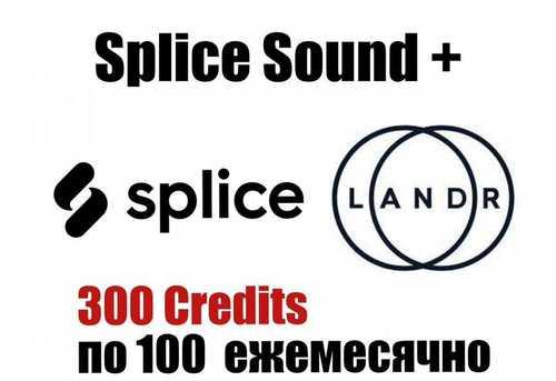 Splice Sound + Landr семплы + Vocalign Project