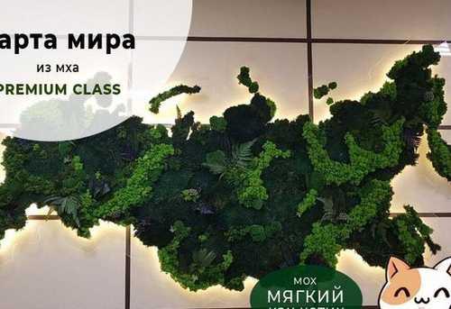 Карта мира из мха с искусственными растениями