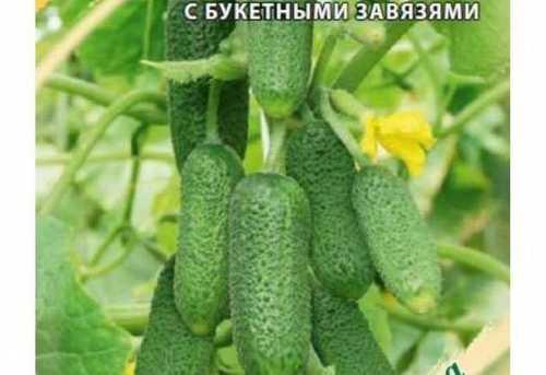Луховицкие огурцы семена