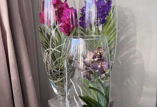 Орхидея в вазе подарок